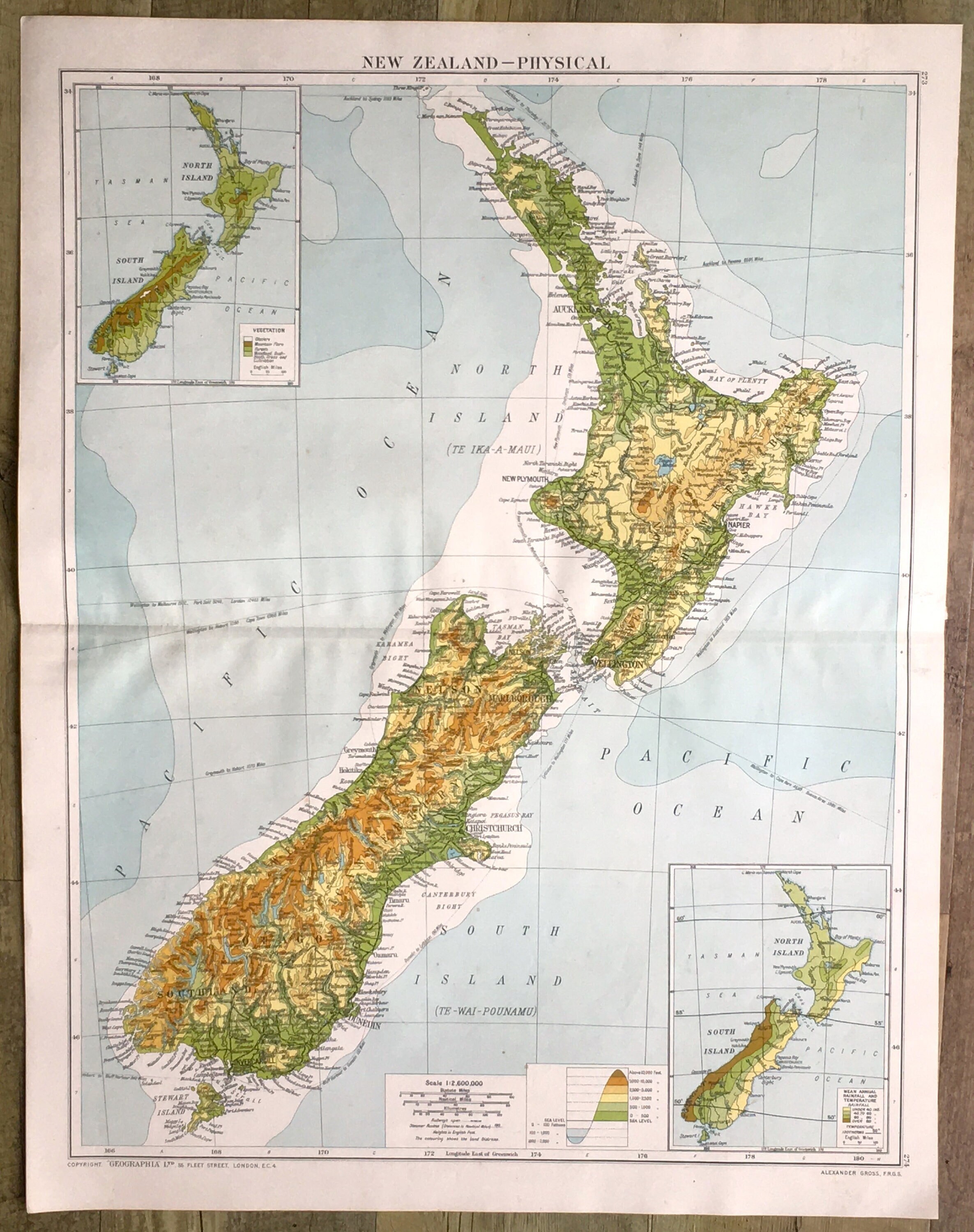 NEW ZEALAND PHYSICAL Huge Antique Map, C. 1920. Lovely Colours - Etsy
