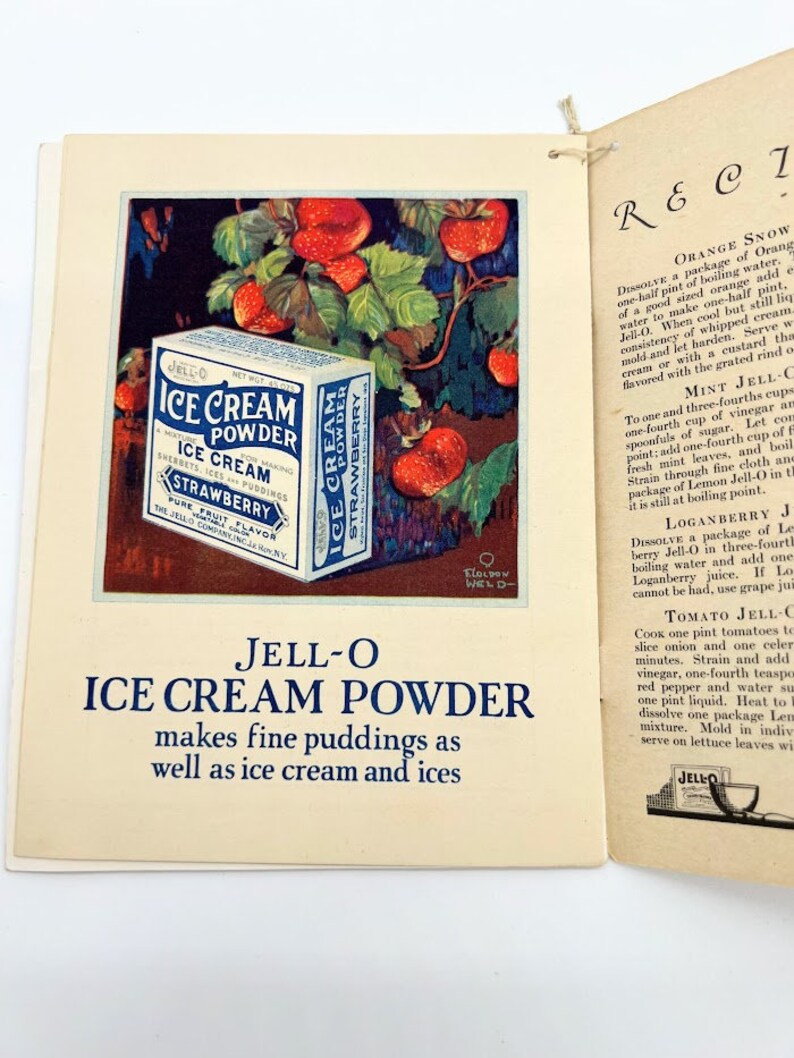 1920's the Jello Girl Gives a Party Recipe Story Brochure - Etsy