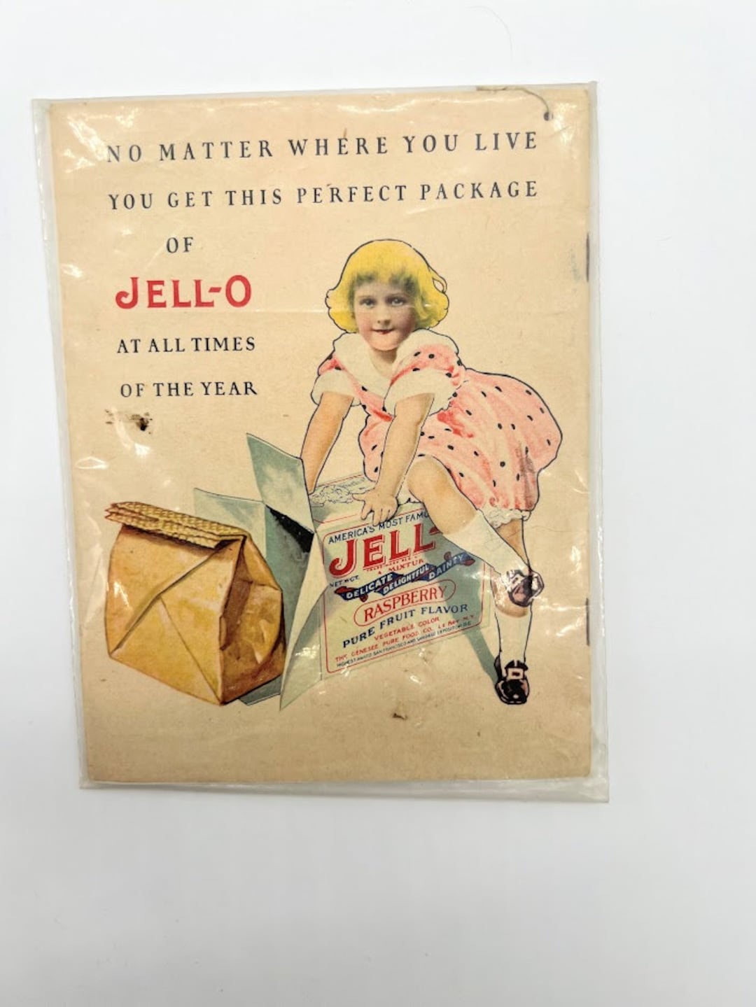 1920's the Jello Girl Gives a Party Recipe Story Brochure - Etsy