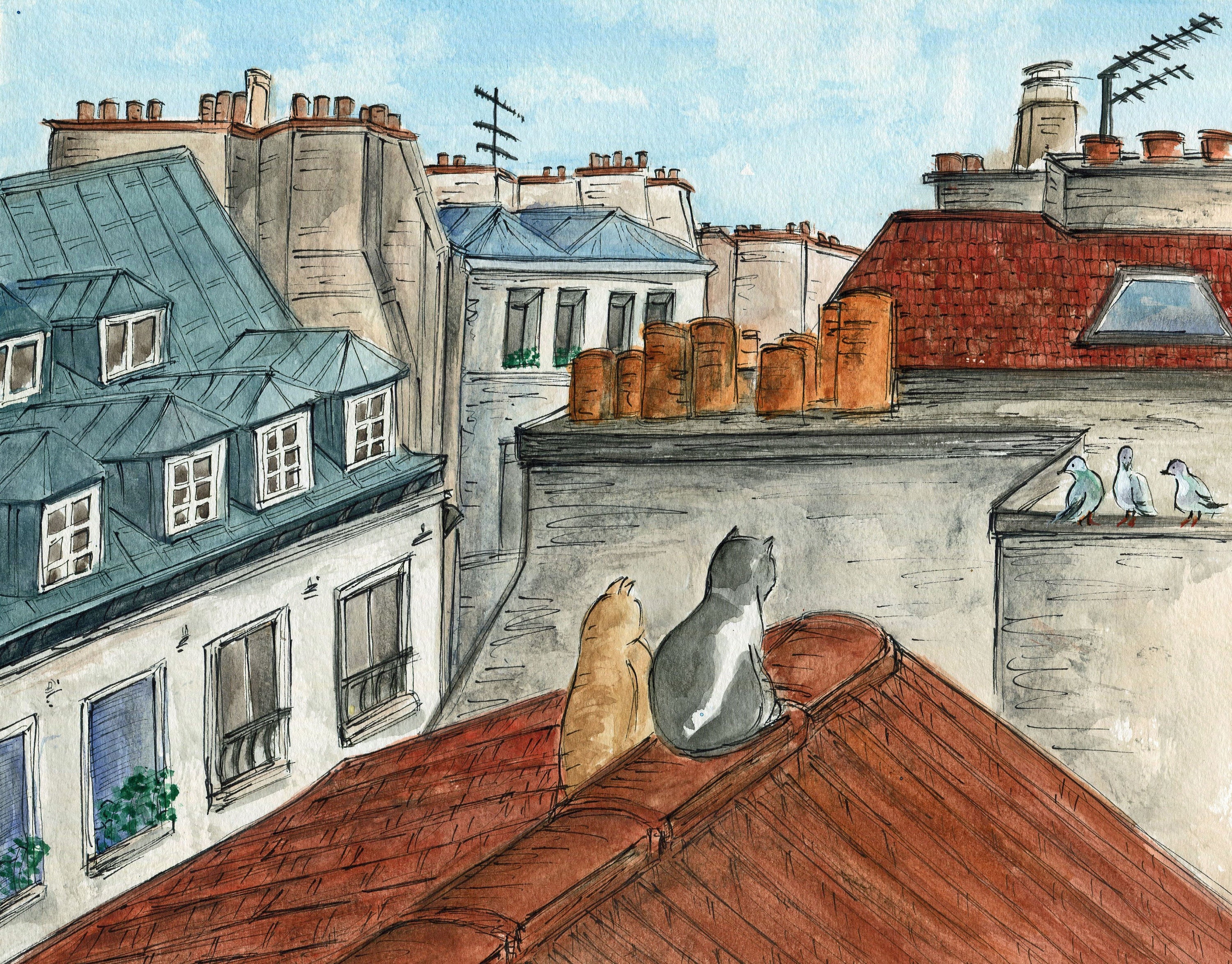 Cat Art; Paris Art; French Art Print; Rooftop; Whimsical Art Print ...