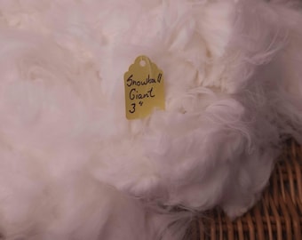 English Angora Fiber, Raw Angora Fiber, Angora Rabbit Fiber, Raw Fiber ...