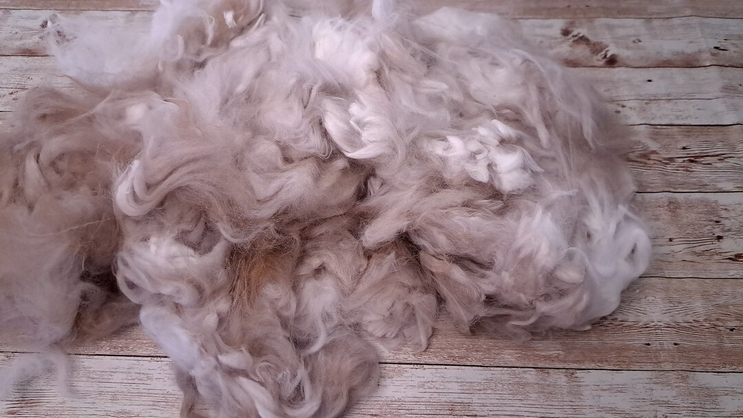 English Angora Fiber, Raw Angora Fiber, Angora Rabbit Fiber, Raw Fiber ...