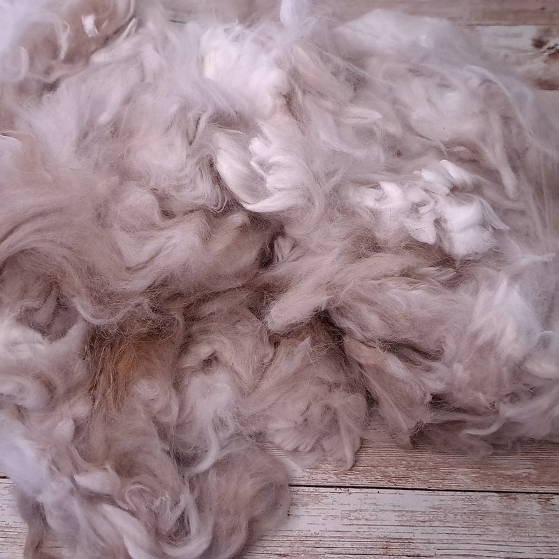 Angora Fiber - Etsy