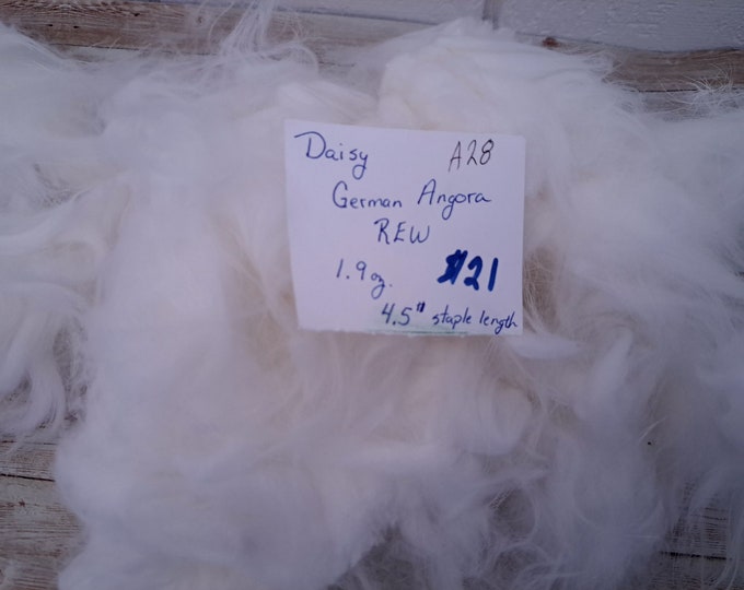 German Angora Fiber, Raw Angora Fiber, Angora Rabbit Fiber, Raw Fiber ...