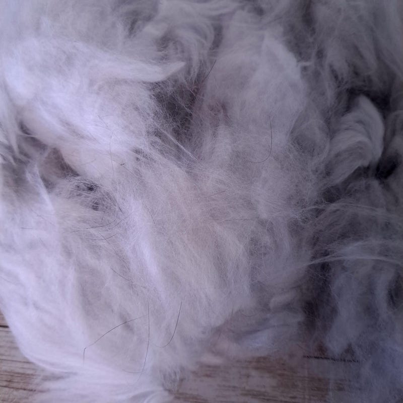 Angora Fiber - Etsy