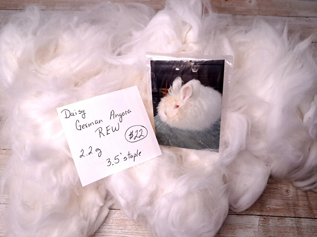 German Angora Fiber, Raw Angora Fiber, Angora Rabbit Fiber, Raw Fiber ...