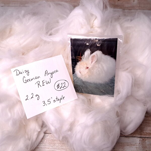 Angora Fiber - Etsy