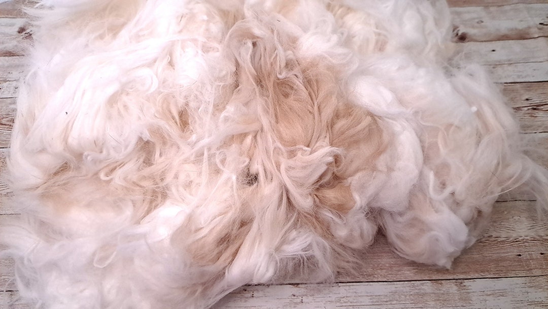 German Angora Fiber, Raw Angora Fiber, Angora Rabbit Fiber, Raw Fiber ...