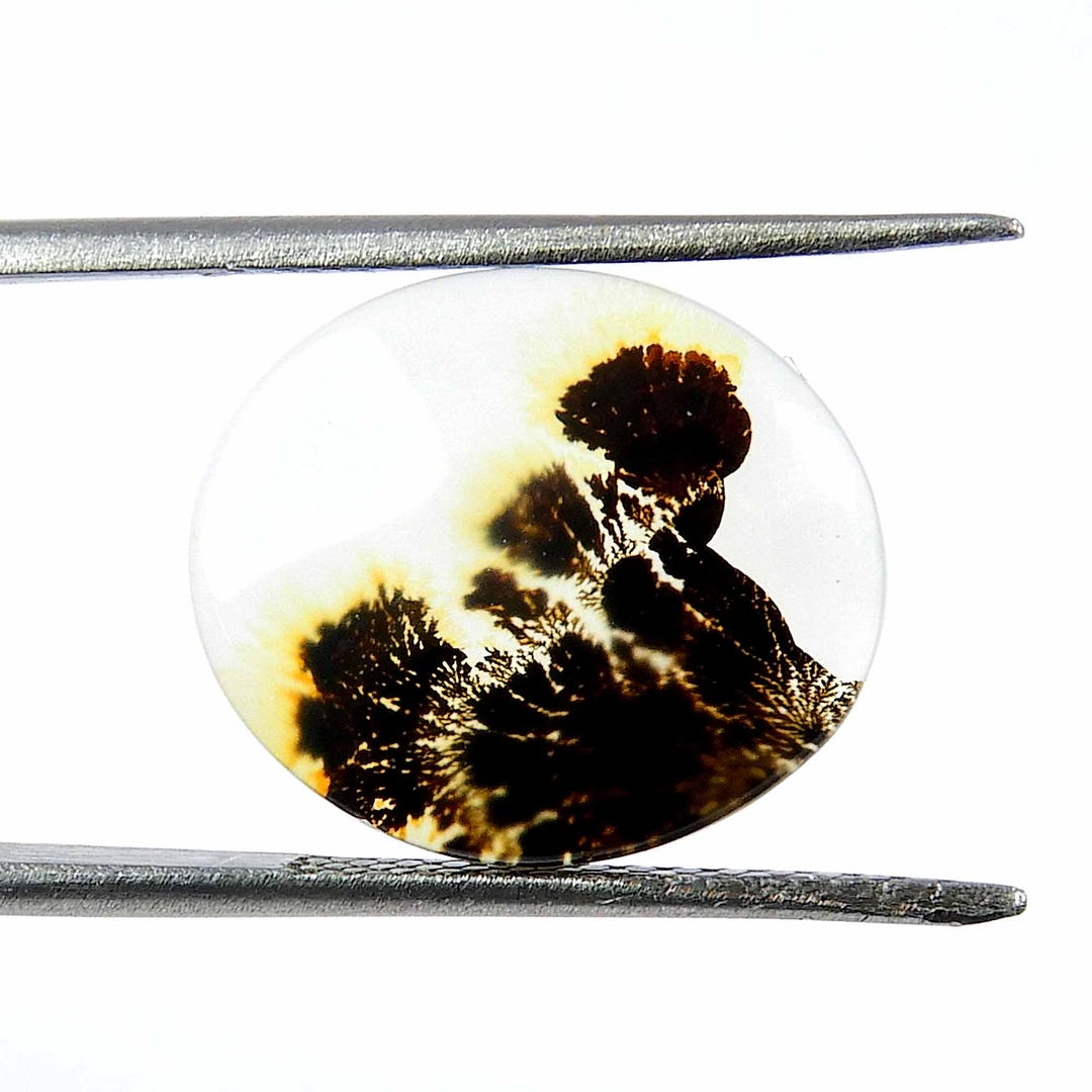 Natural Shazar Dendrite Gemstone. Shazar Scenic Dendrite Agate Cabochon ...