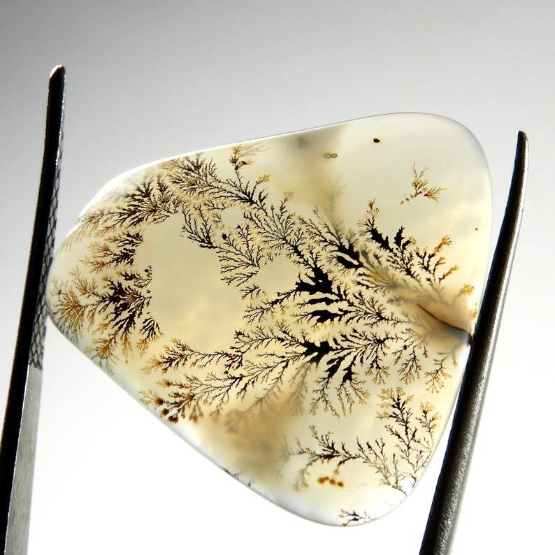 Natural Shazar Dendritic Agate Fancy Shape Cabochon Gemstone Loose for ...