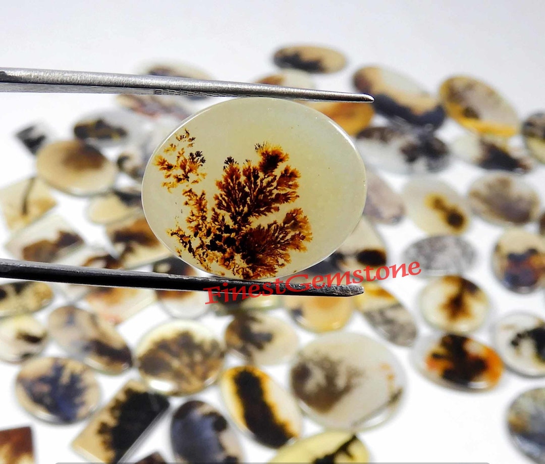 Leaf Designer Shazar Dendrite Gemstone. Shazar Dendritic Quartz ...