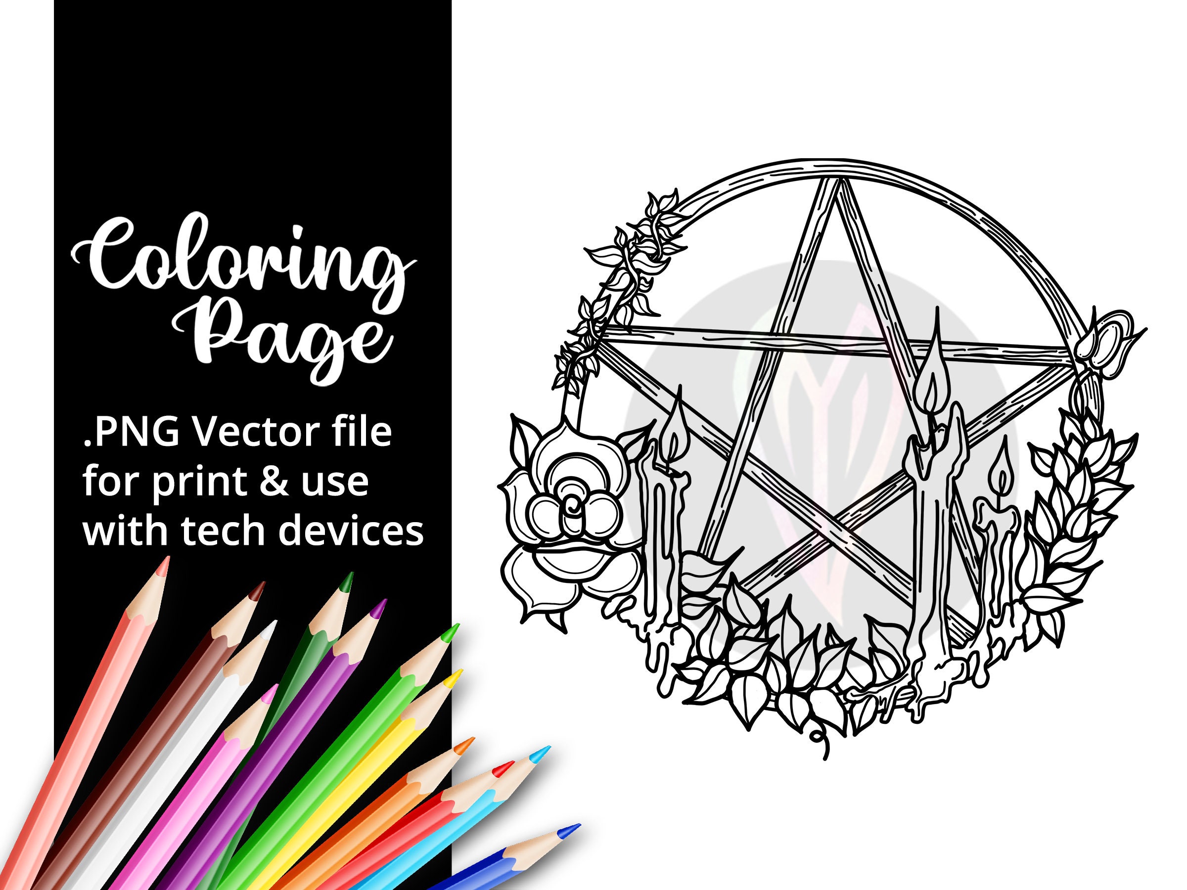 5 Point Star Coloring Pages