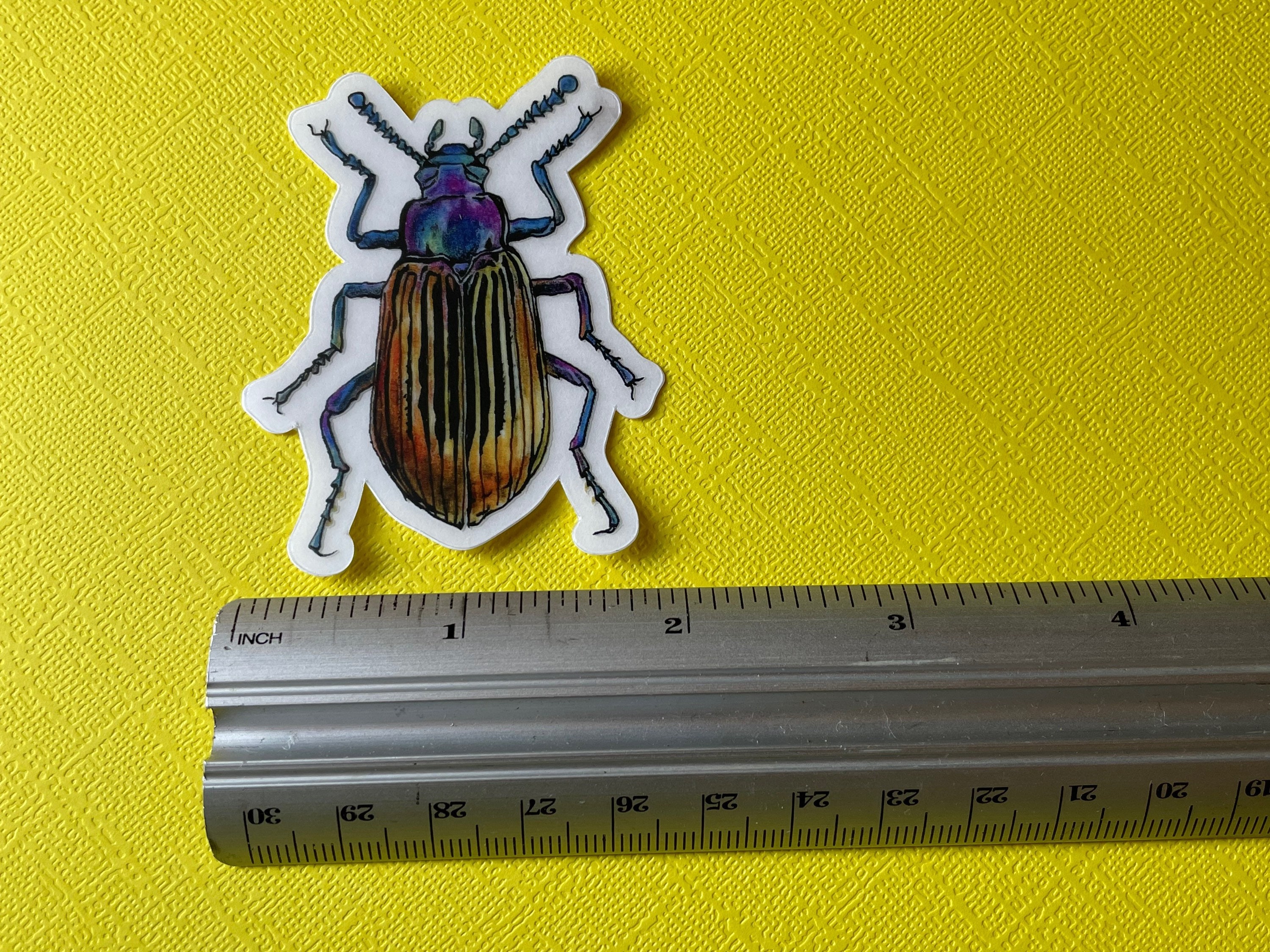 Colorful Beetle Vinyl Sticker Transparent Waterproof Stickers Nature ...