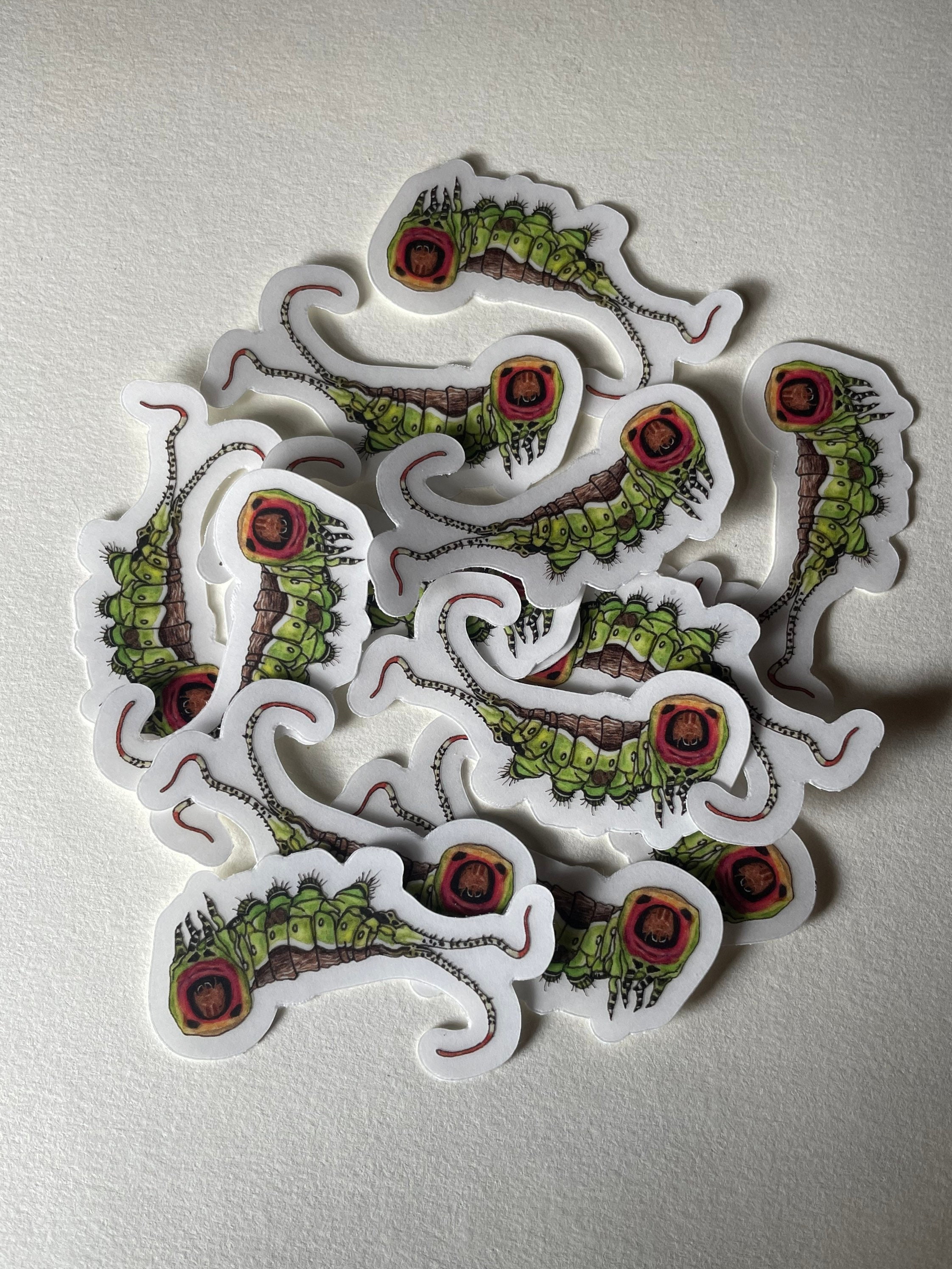 Puss Moth Caterpillar Clear Vinyl Sticker Nature Stickers Waterproof ...