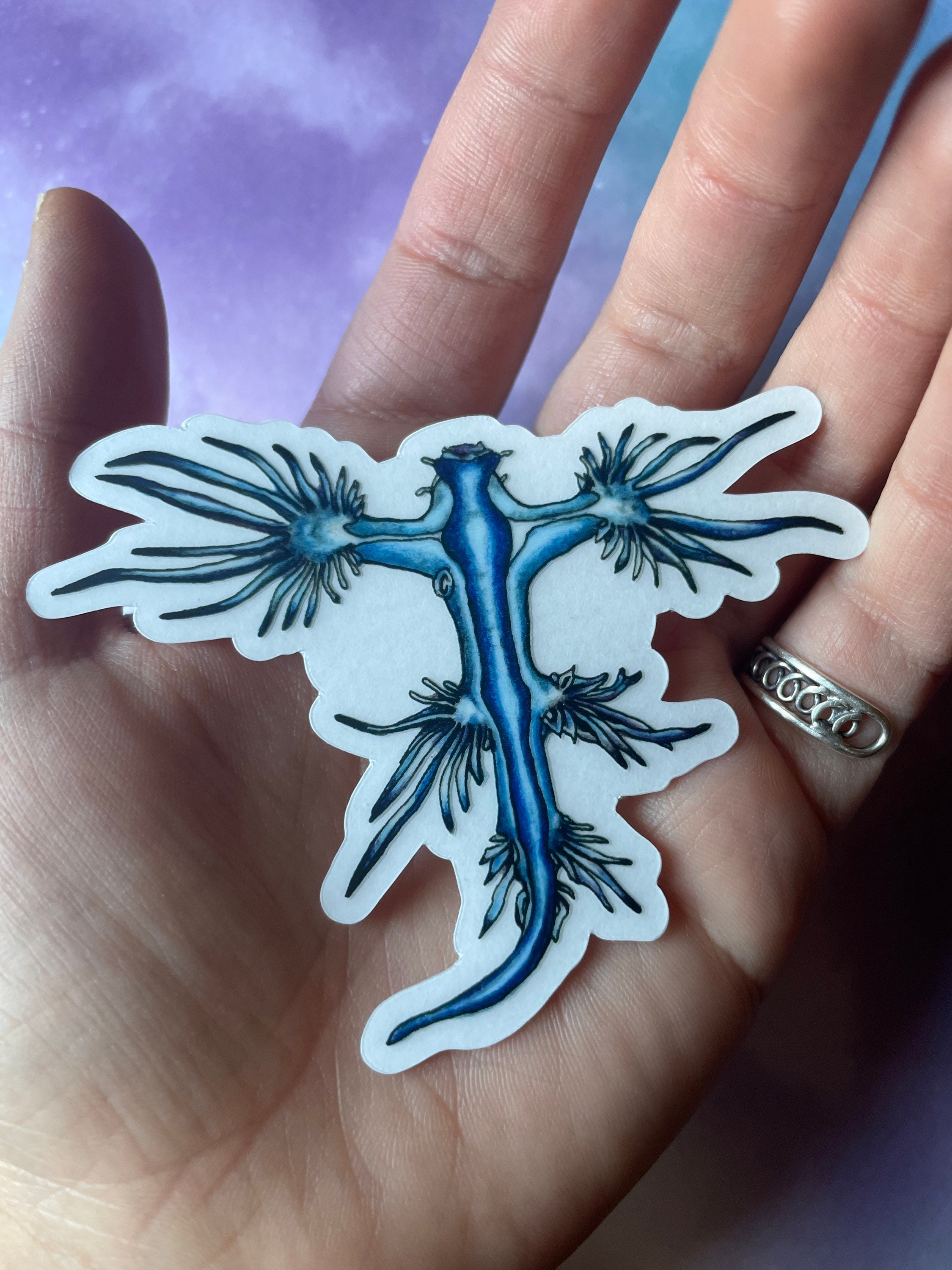 Blue Dragon Sea Slug Sticker Marine Wildlife Nudibranch - Etsy