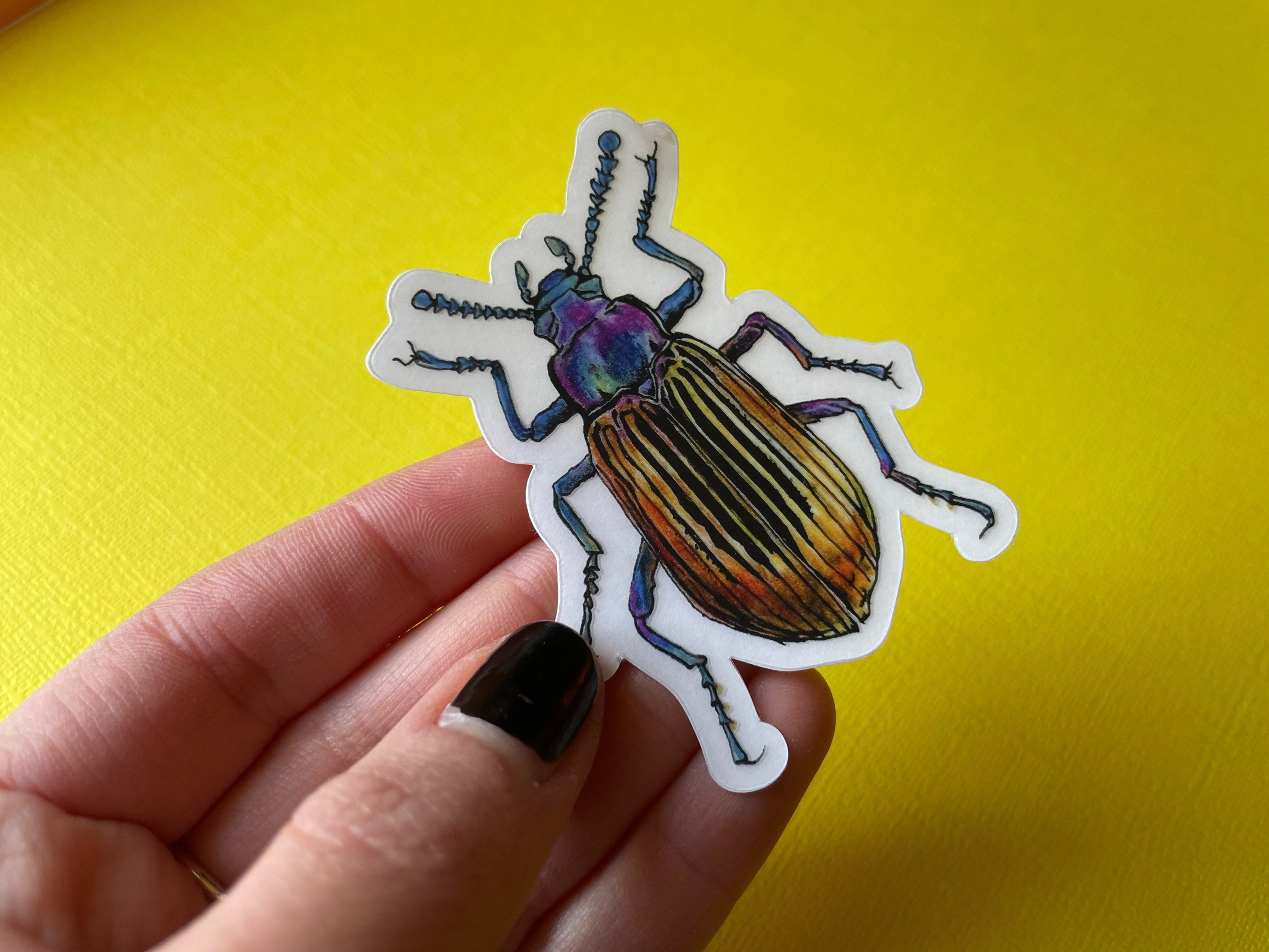 Colorful Beetle Vinyl Sticker | Transparent Waterproof Stickers ...