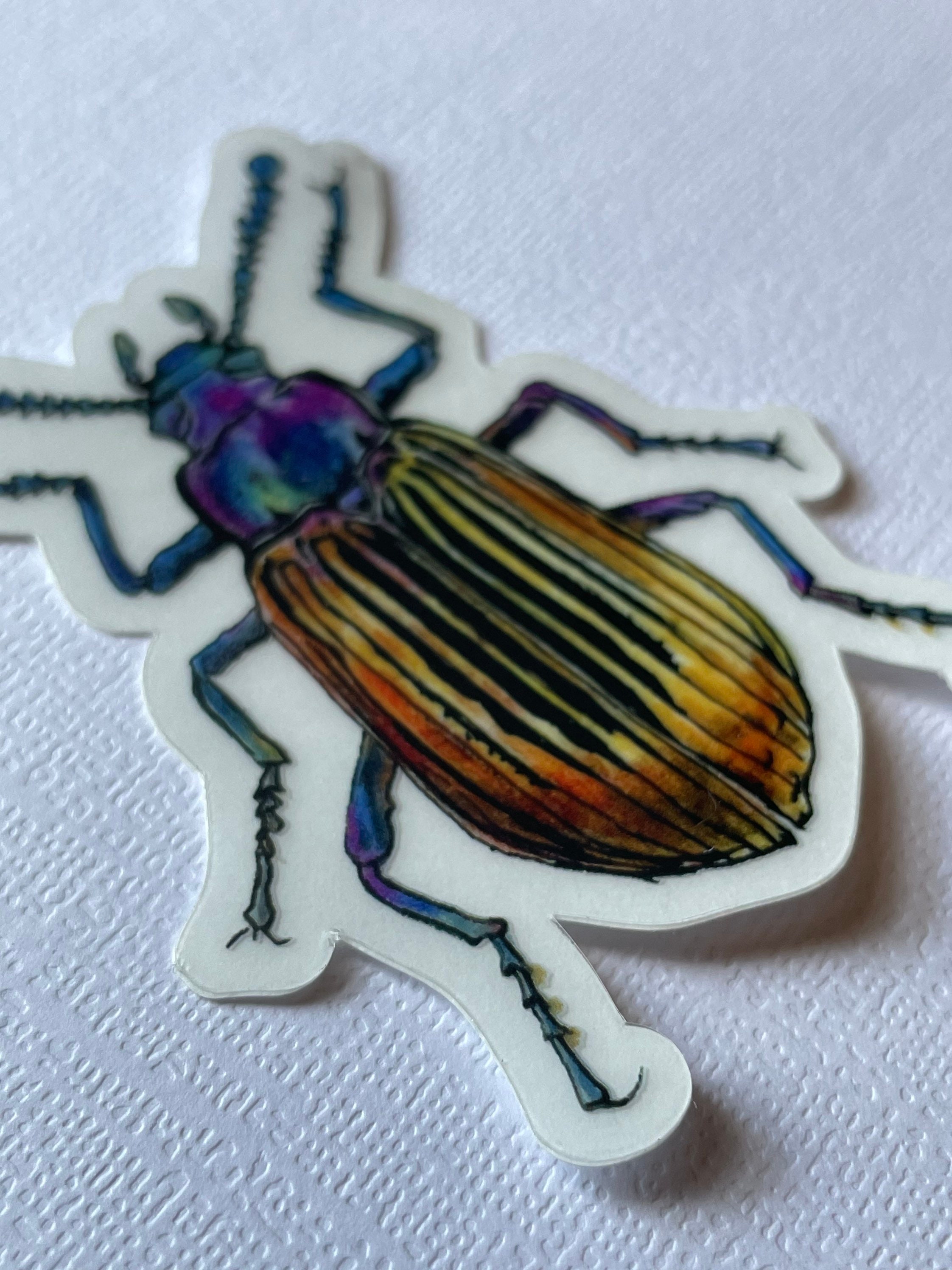 Colorful Beetle Vinyl Sticker | Transparent Waterproof Stickers ...