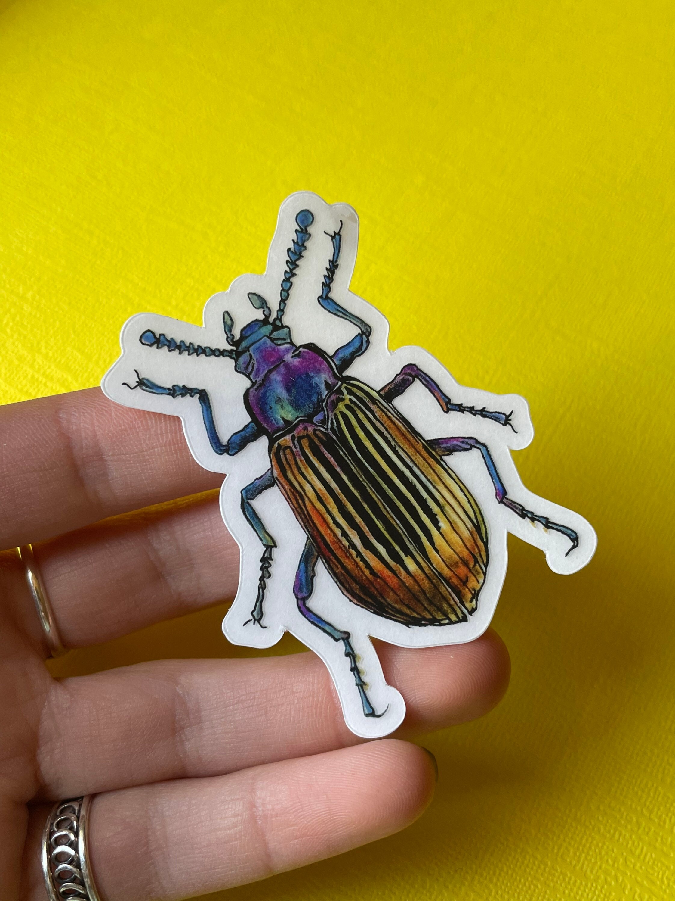 Colorful Beetle Vinyl Sticker | Transparent Waterproof Stickers ...