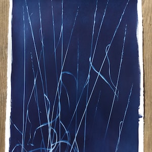 Large Grass Photogram Cyanotype Botanical Art Print Poster - Etsy