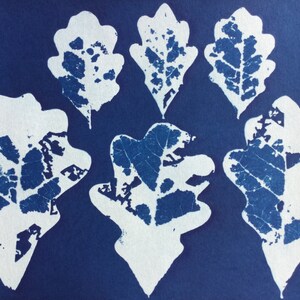 Oak Leaves, Cyanotype Print, Oak Tree, Leaf Print, Nature Photo ...