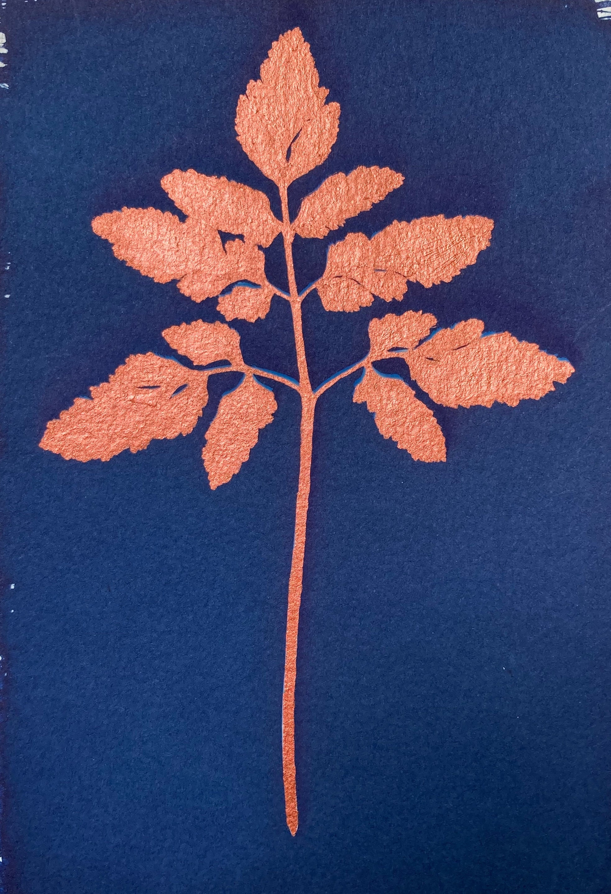 Copper Gilded Fern Frond Cyanotype Print - Etsy