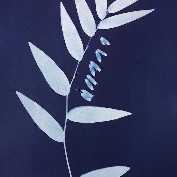 Photogram - Etsy