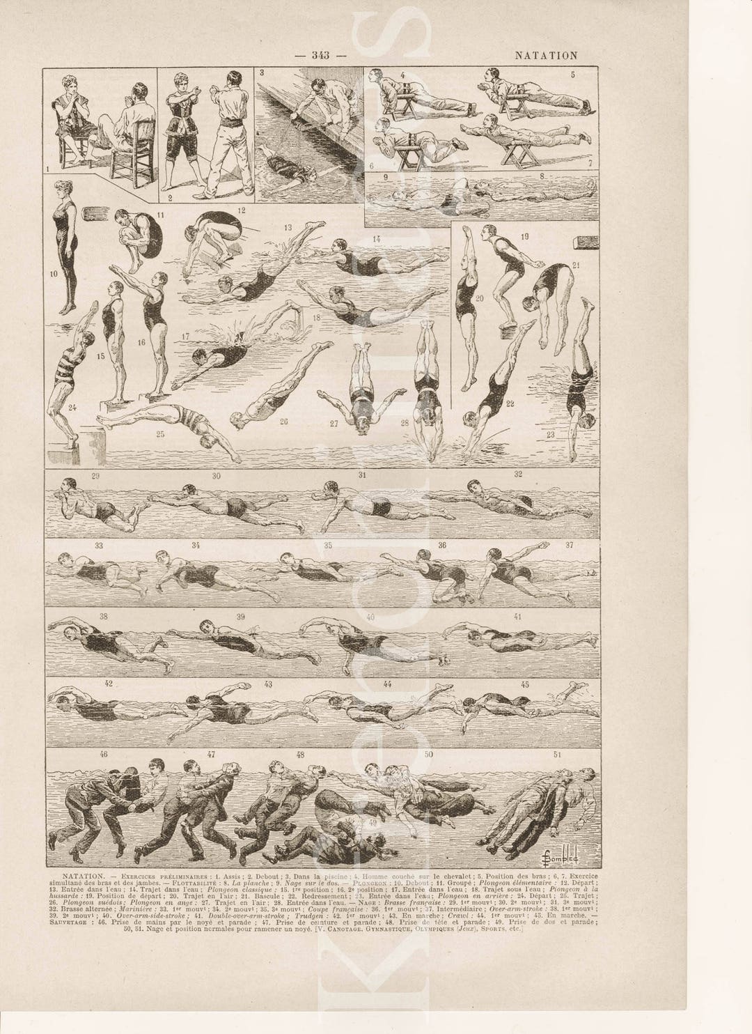 French Swimming Print, 1920s Sports Illustration, Signed Bombled - Etsy