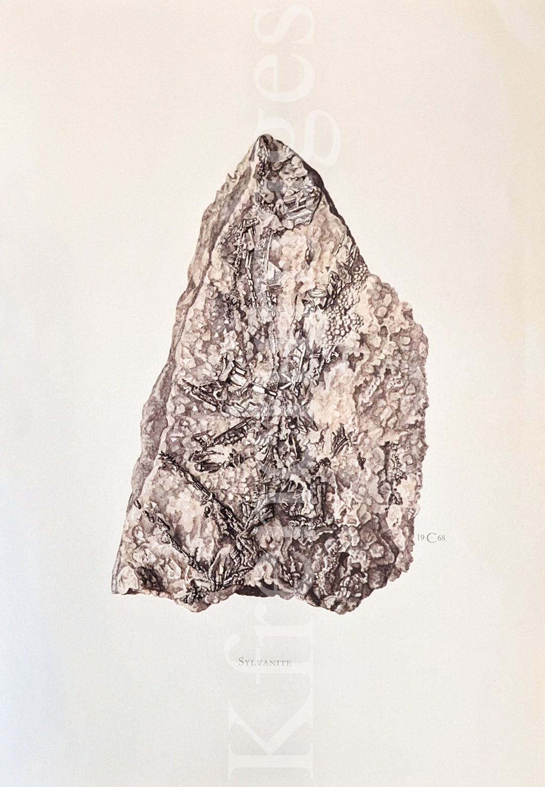 1970 Sylvanite Crystal. French Vintage Original Print. Minerals Rocks ...