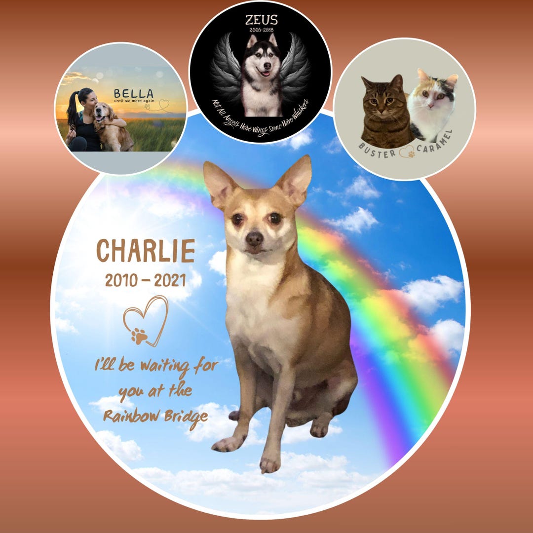 Personalized Pet Memorial Sticker From Your Photo, Rainbow Bridge Dog ...
