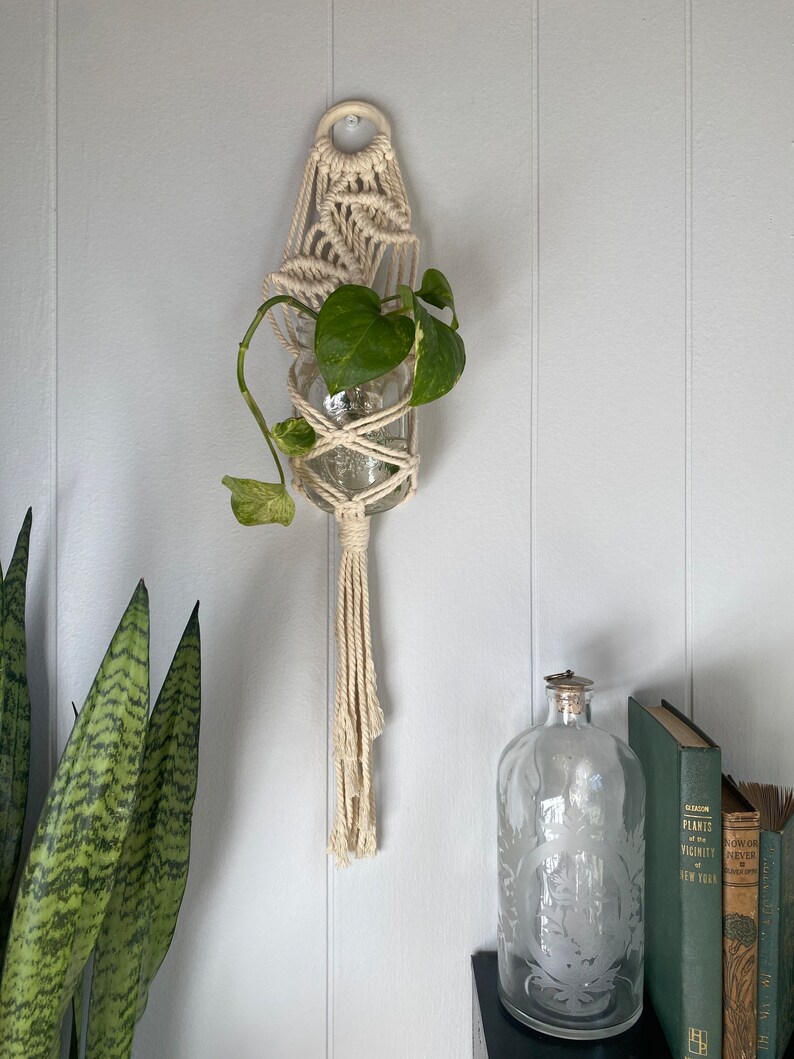 Macramé Plant Cutting Hanger - Etsy