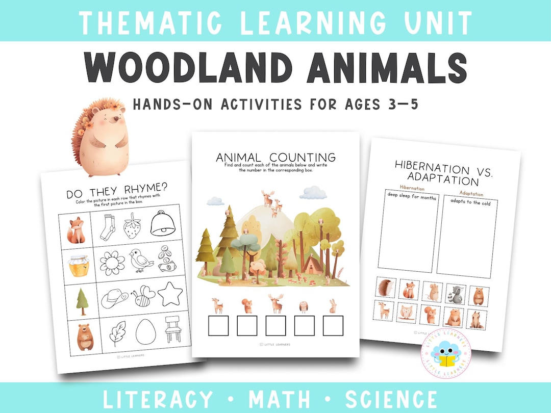 Woodland Animals Preschool Learning Activities | Math, Literacy ...