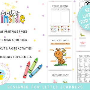 Insect Preschool Learning Activities | Math, Literacy & Science ...