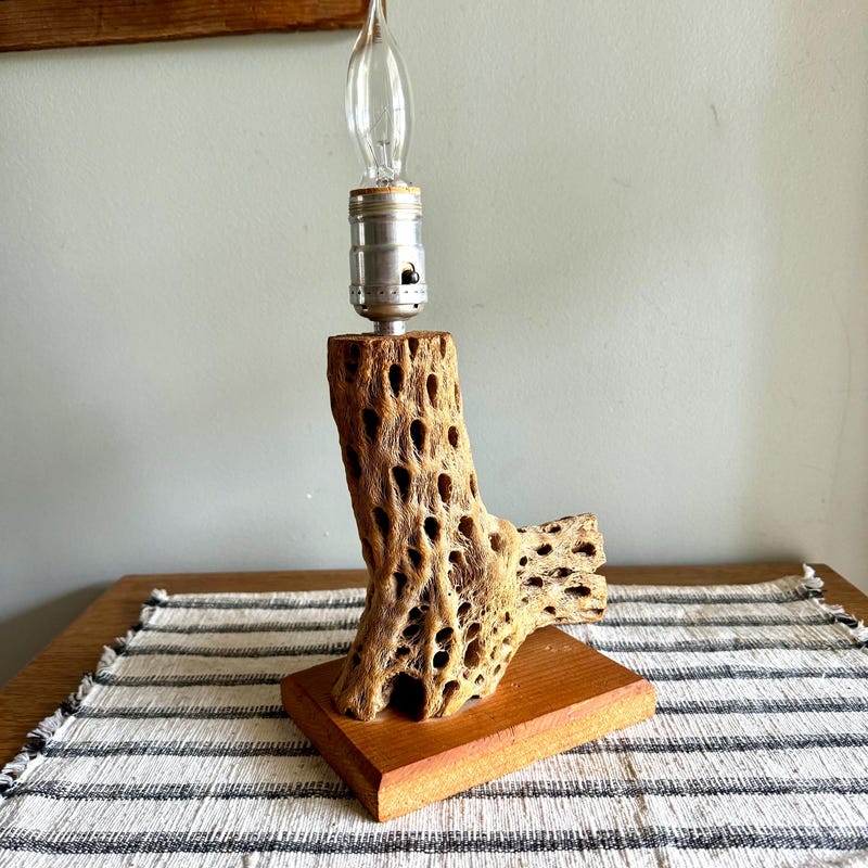 Cholla Wood - Etsy