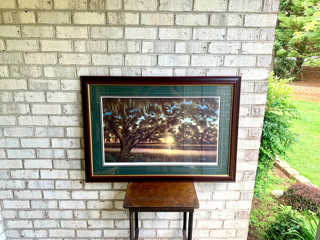 Vintage Jim Booth 1995 Southern Splendor Framed Print Classic Edition ...