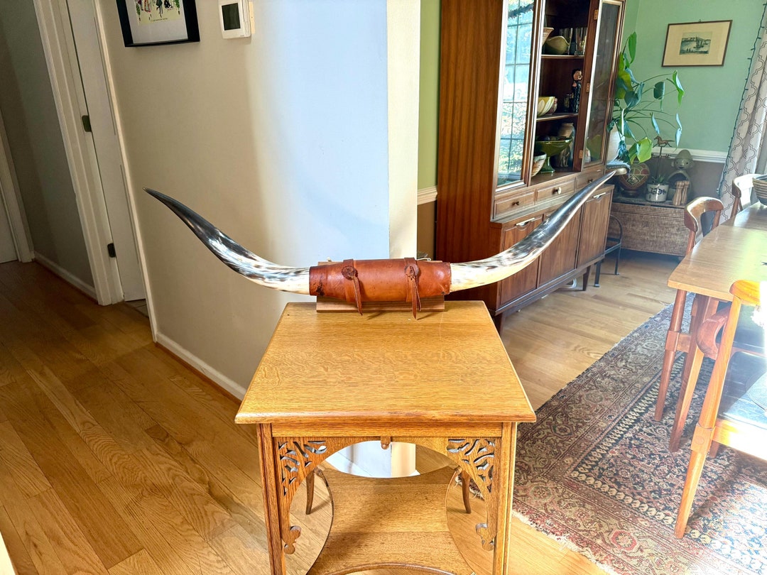 Vintage Longhorn Mount Mounted Steer Horns Western Longhorn Mount ...
