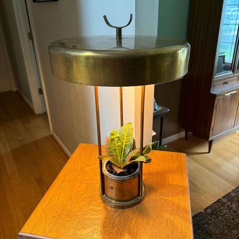 Planter Lamp - Etsy