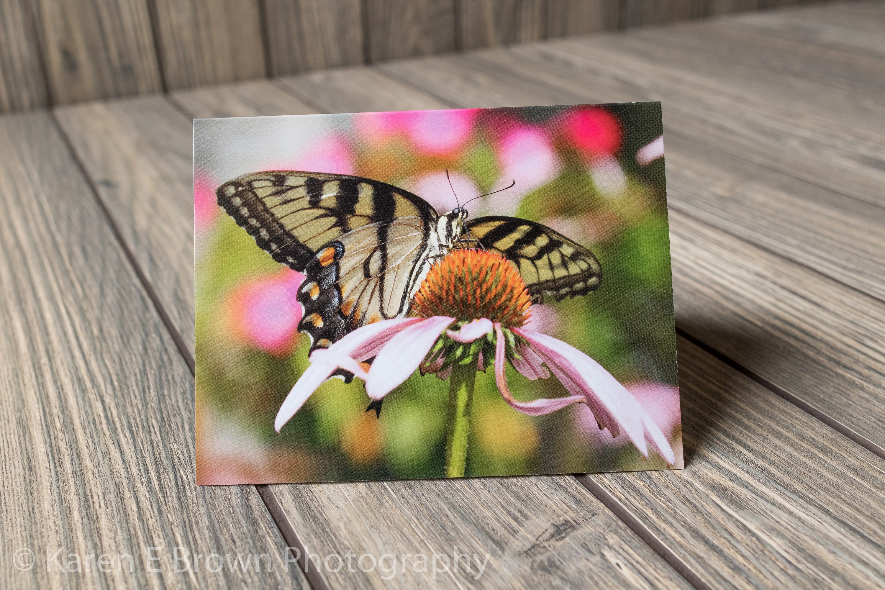 Set of 12 Butterfly Note Cards Butterfly Stationery Folded - Etsy