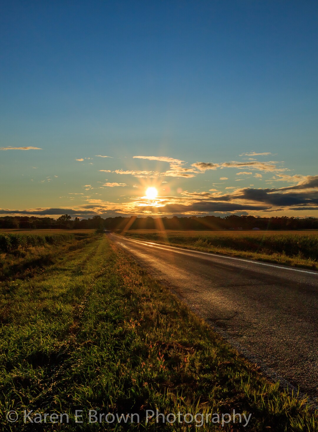 Michigan Sunset Photography Print, Rural Landscape, Golden Light - Etsy
