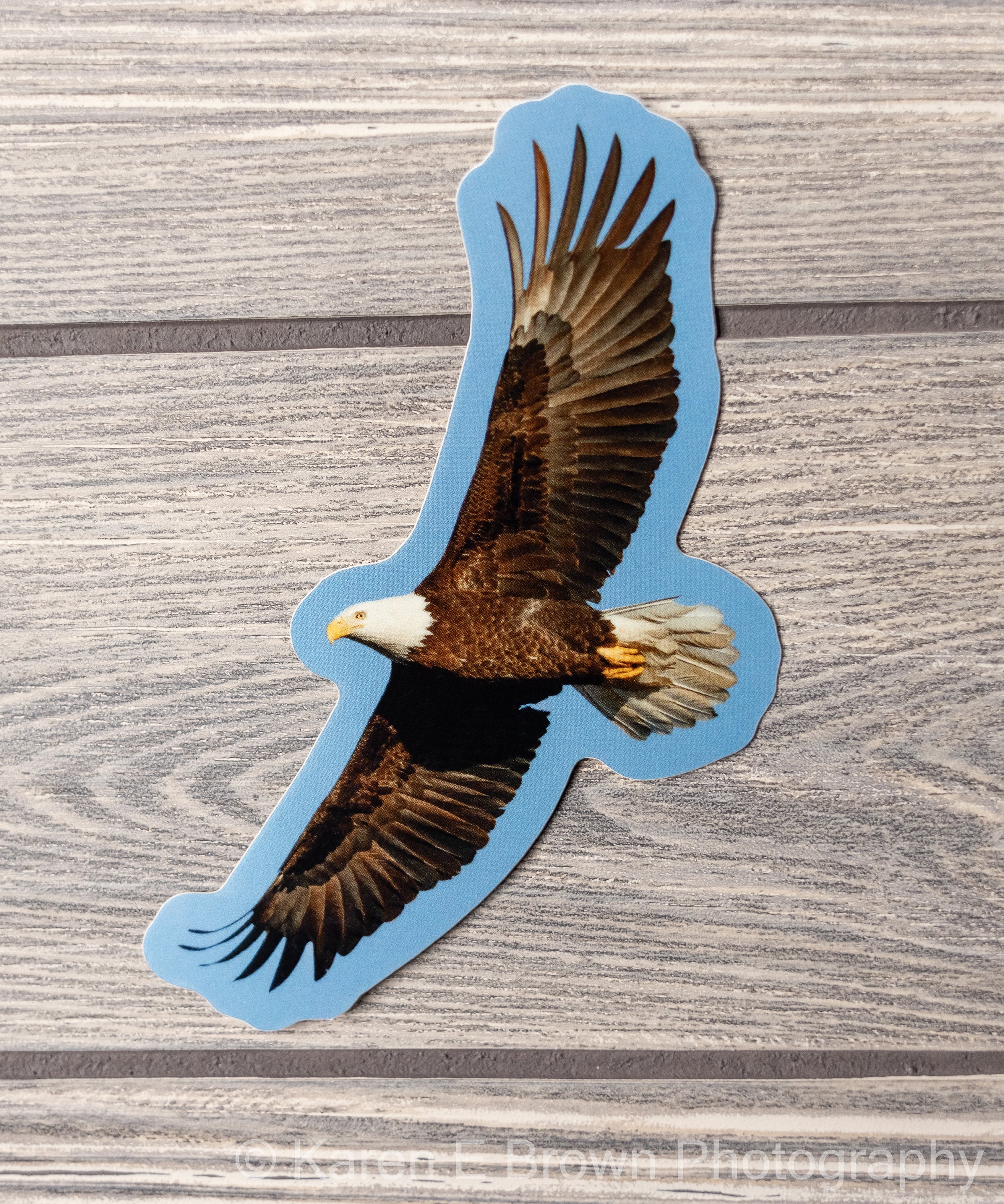 Bald Eagle Sticker, Die Cut Eagle Sticker, Bald Eagle Photo Sticker ...