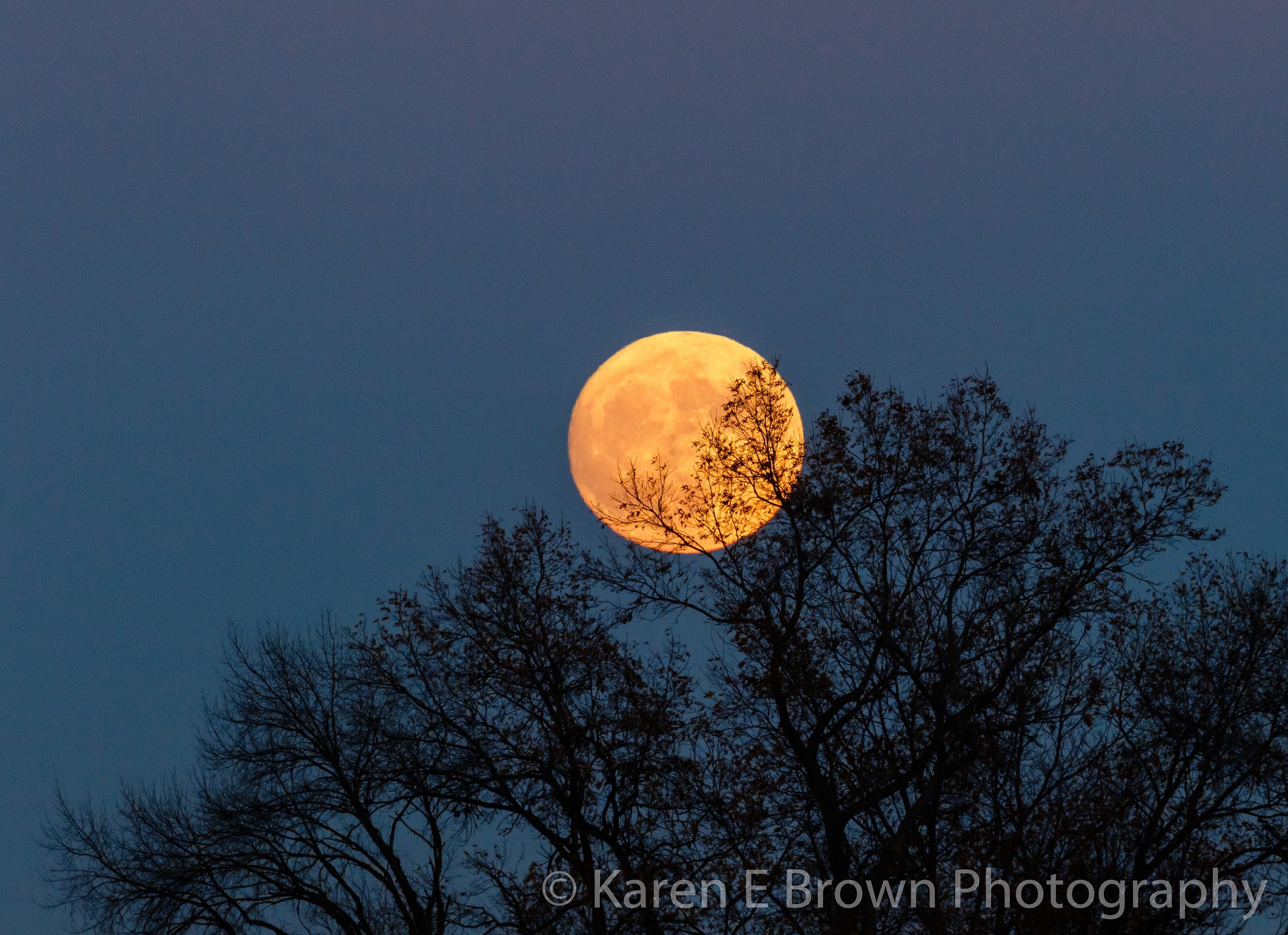 Fall Harvest Moon Photography