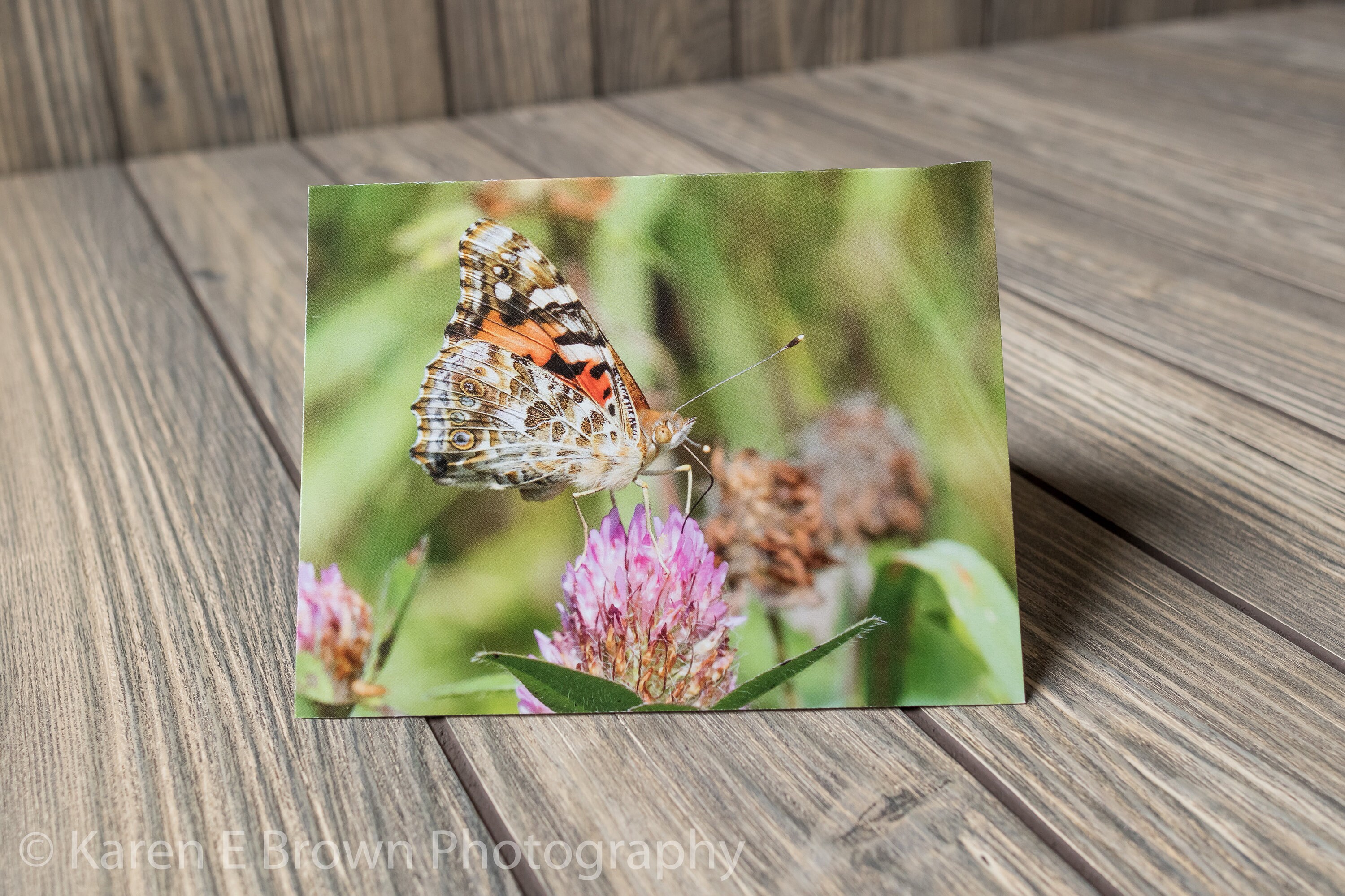 Set of 12 Butterfly Note Cards Butterfly Stationery Folded - Etsy