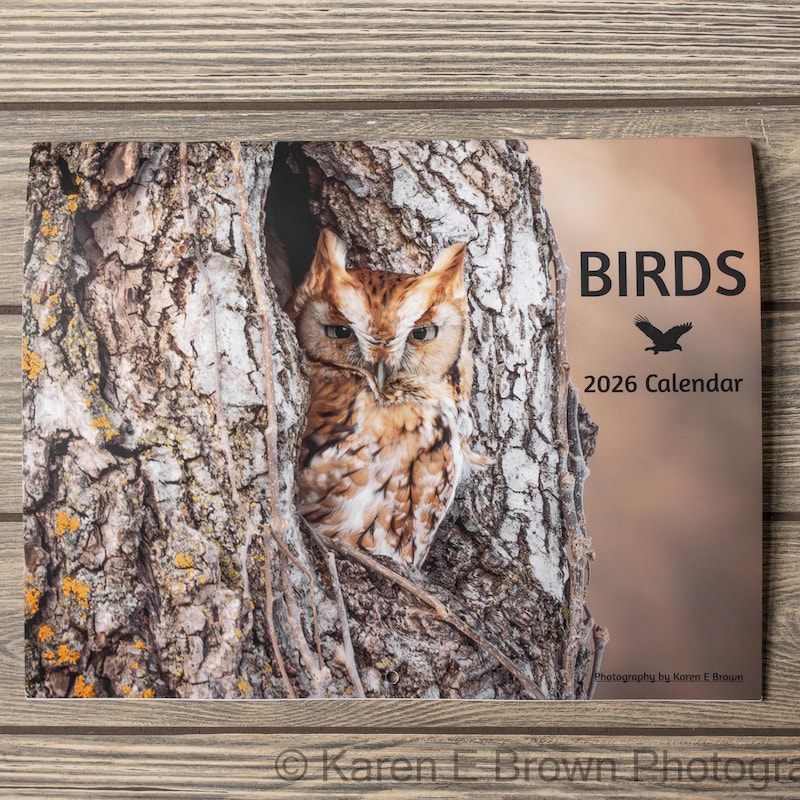 2026 Bird Calendars - Etsy