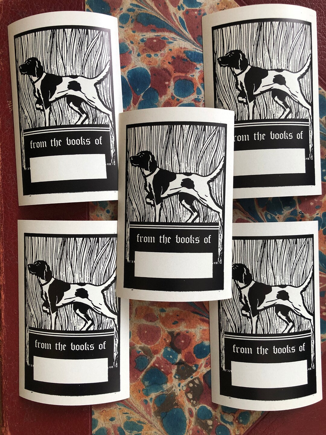 Vintage Pointer Dog Bookplates, Dog Lovers, Vintage Library, Vintage ...