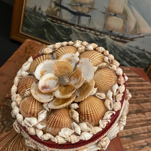 Seashell Box - Etsy
