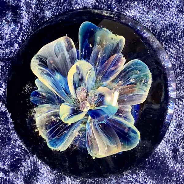 Ashes in Glass - Etsy