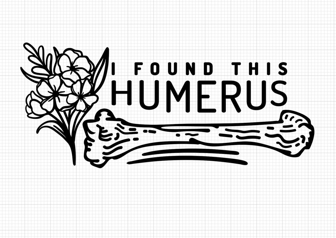 I Found This Humerus Anatomy Pun - Etsy
