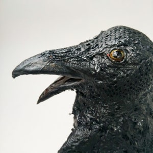 Black Raven Nature Sculpture From Paper-mache and Fabric | Custom Bird ...