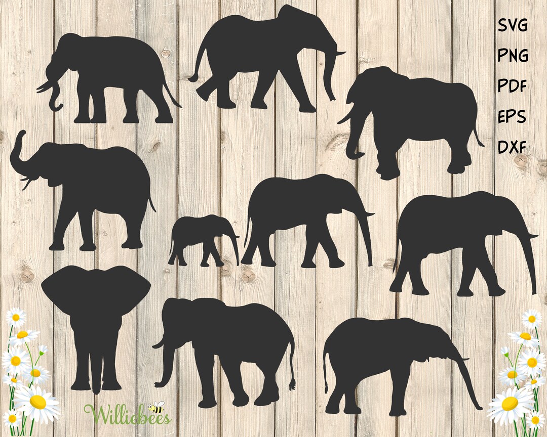 Elephant Clipart SVG African Safari Zoo Animal Mammal - Etsy