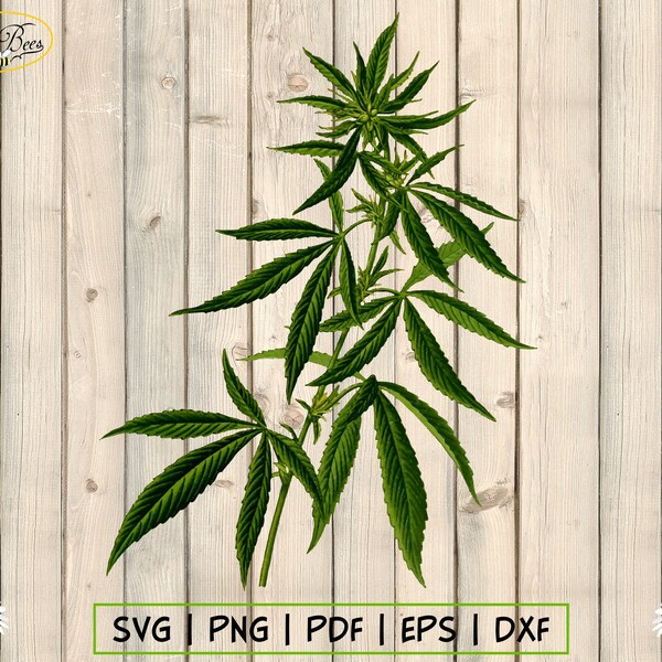 Marijuana T Shirts - Etsy