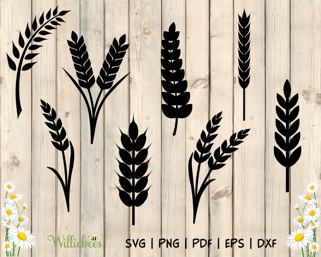 Wheat SVG Bundle, Grain SVG, Harvest Wheat, Grain Clipart, Vector Cut ...